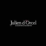 Logo-Franchise-Julien-d-Orcel-300x300-1 - Jaimeradio
